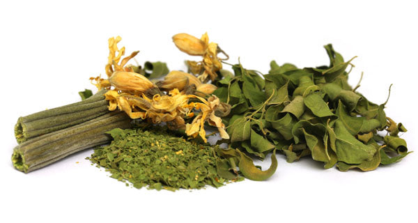 Malunggay, the “Miracle” Tree – Motherlove Herbal Company