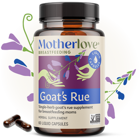 Goat's Rue Capsules | Motherlove – Motherlove Herbal Company