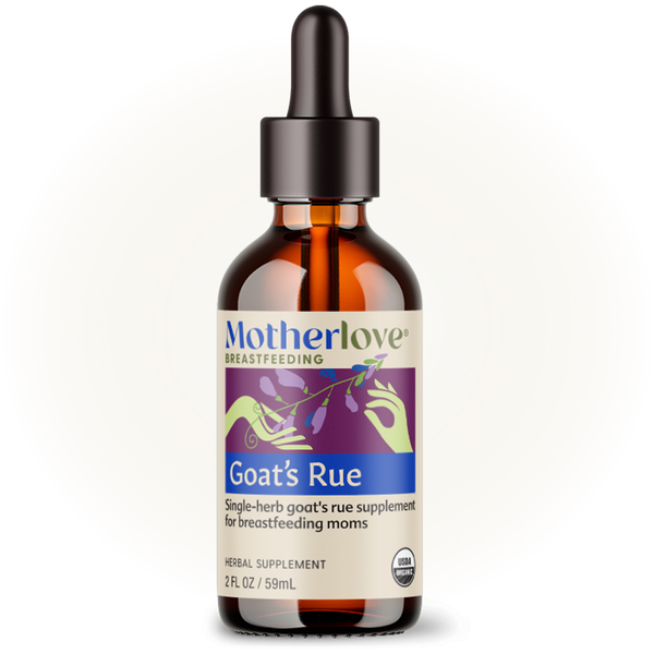 Goat's Rue | Motherlove – Motherlove Herbal Company